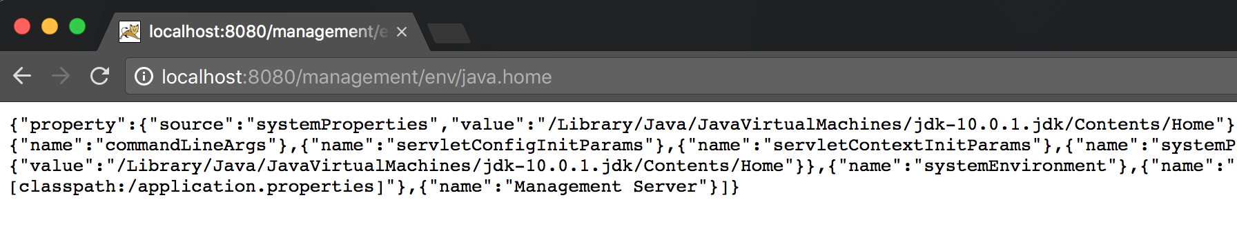 Spring Boot Actuator Endpunkte: Eine Anleitung